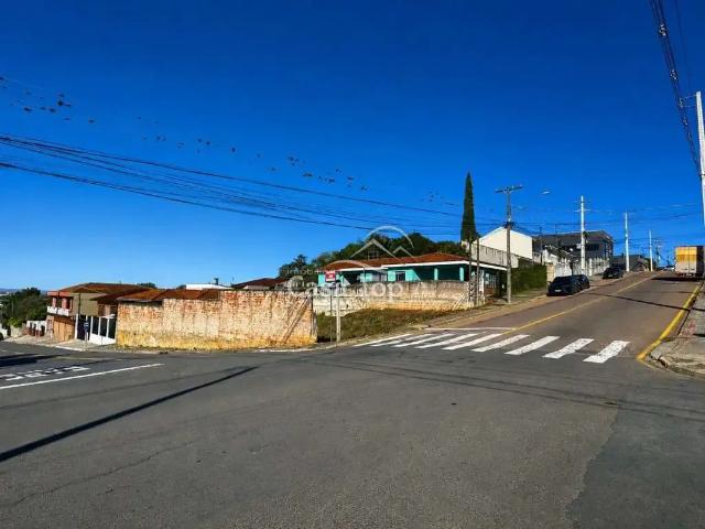 Terreno / Lote para Venda em Ponta Grossa/PR Oficinas