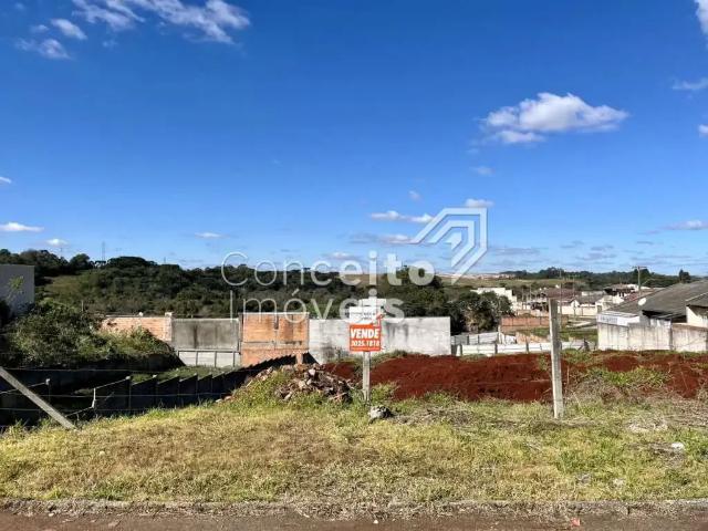 Terreno / Lote para Venda em Ponta Grossa/PR Oficinas