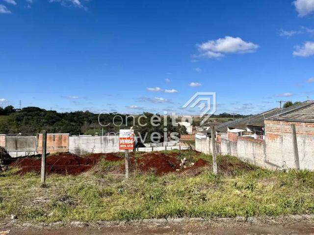 Terreno / Lote para Venda em Ponta Grossa/PR Oficinas
