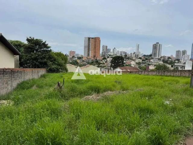 Terreno / Lote para Venda em Ponta Grossa/PR Oficinas