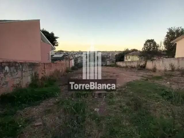 Terreno / Lote para Venda em Ponta Grossa/PR Oficinas
