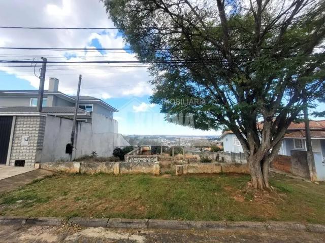 Terreno / Lote para Venda em Ponta Grossa/PR Oficinas