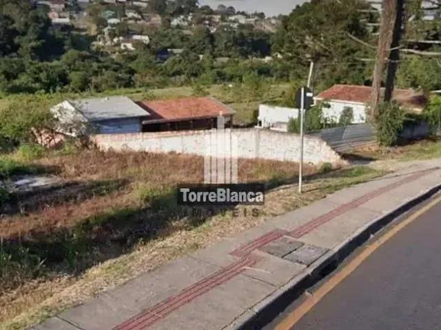 Terreno / Lote para Venda em Ponta Grossa/PR Olarias