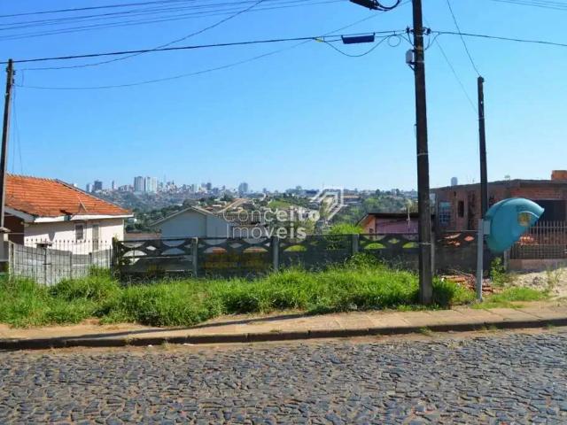 Terreno / Lote para Venda em Ponta Grossa/PR Olarias