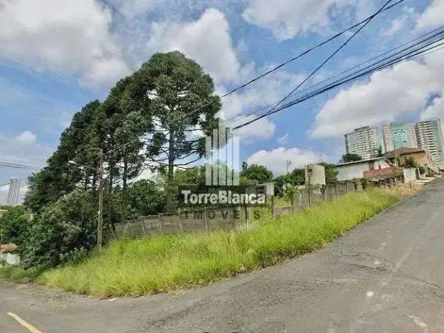 Terreno / Lote para Venda em Ponta Grossa/PR Olarias