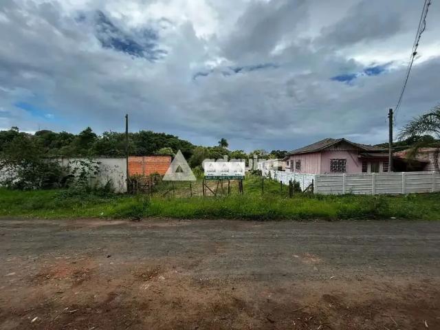 Terreno / Lote para Venda em Ponta Grossa/PR Olarias
