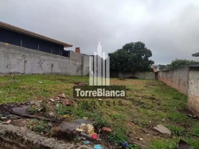 Terreno / Lote para Venda em Ponta Grossa/PR Olarias