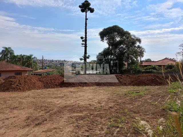 Terreno / Lote para Venda em Ponta Grossa/PR Orfãs