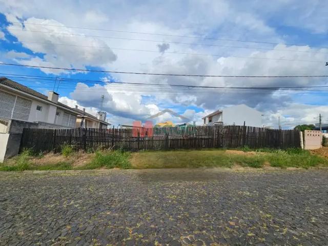 Terreno / Lote para Venda em Ponta Grossa/PR Orfãs