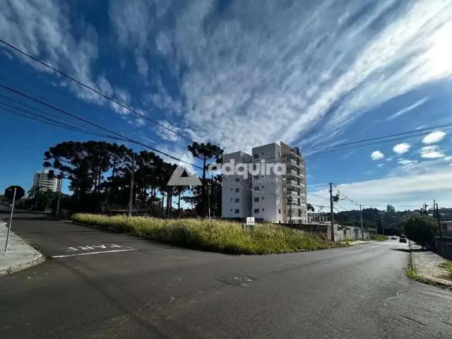 Terreno / Lote para Venda em Ponta Grossa/PR Orfãs