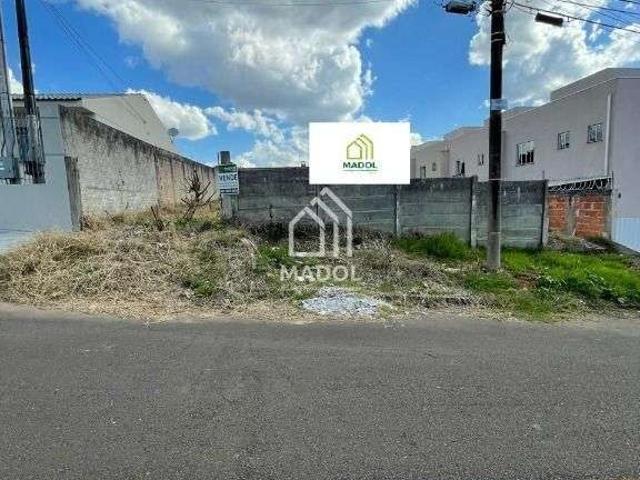 Terreno / Lote para Venda em Ponta Grossa/PR Orfãs