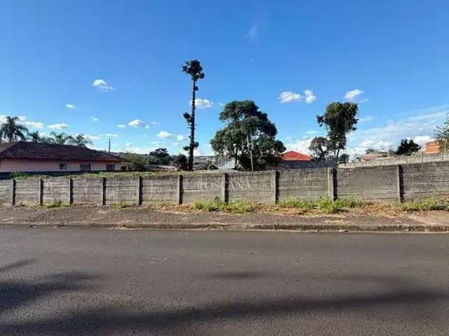 Terreno / Lote para Venda em Ponta Grossa/PR Orfãs