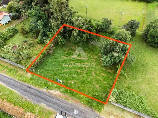 Terreno / Lote para Venda em Ponta Grossa/PR Orfãs