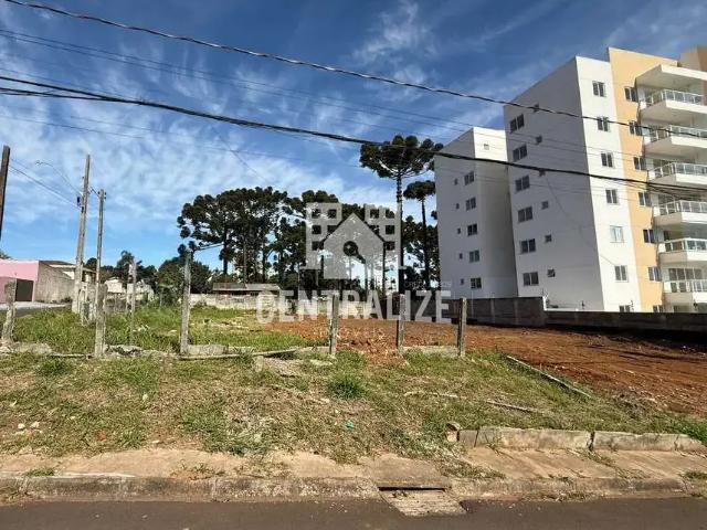 Terreno / Lote para Venda em Ponta Grossa/PR Orfãs