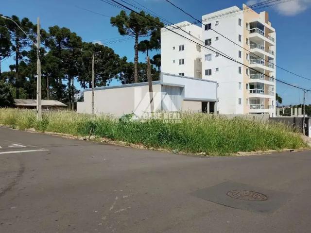 Terreno / Lote para Venda em Ponta Grossa/PR Orfãs