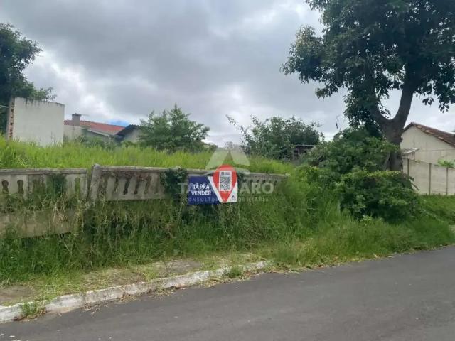 Terreno / Lote para Venda em Ponta Grossa/PR Orfãs