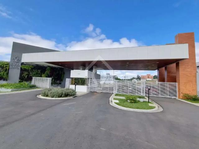 Terreno / Lote para Venda em Ponta Grossa/PR Orfãs