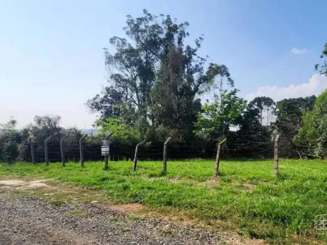 Terreno / Lote para Venda em Ponta Grossa/PR Orfãs