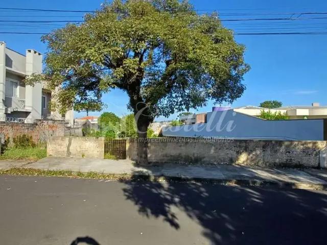 Terreno / Lote para Venda em Ponta Grossa/PR Orfãs