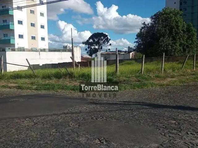 Terreno / Lote para Venda em Ponta Grossa/PR Orfãs