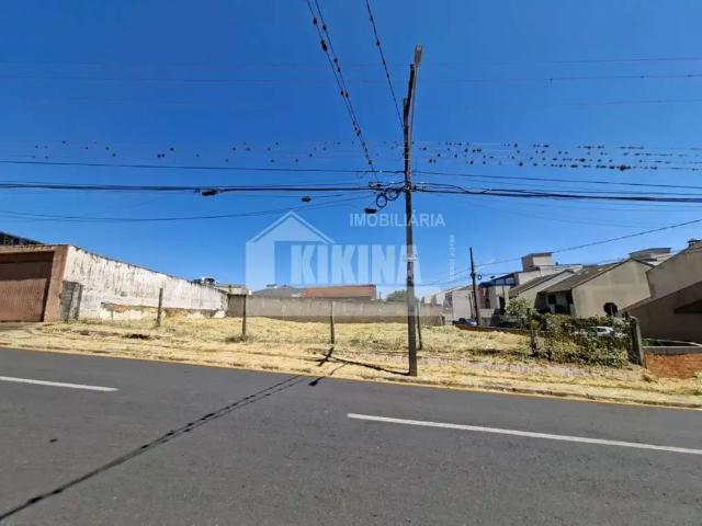 Terreno / Lote para Venda em Ponta Grossa/PR Orfãs