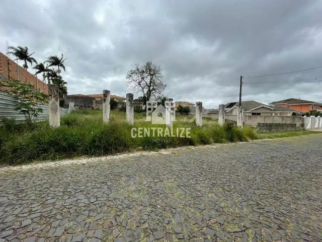 Terreno / Lote para Venda em Ponta Grossa/PR Orfãs