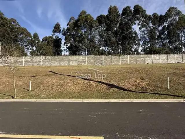 Terreno / Lote para Venda em Ponta Grossa/PR Orfãs