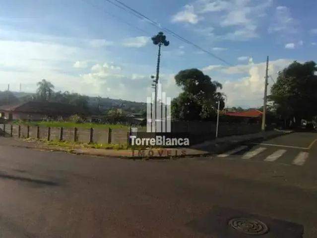 Terreno / Lote para Venda em Ponta Grossa/PR Orfãs