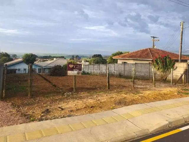 Terreno / Lote para Venda em Ponta Grossa/PR Piriquitos