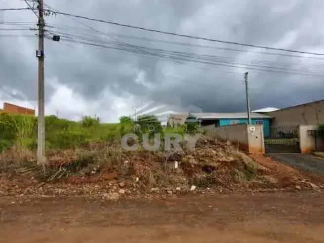 Terreno / Lote para Venda em Ponta Grossa/PR Piriquitos