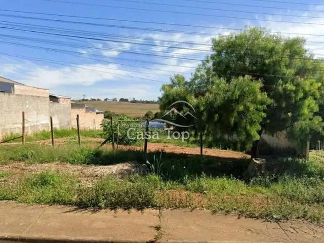 Terreno / Lote para Venda em Ponta Grossa/PR Piriquitos