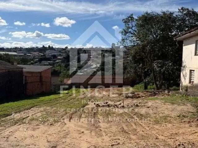 Terreno / Lote para Venda em Ponta Grossa/PR Ronda