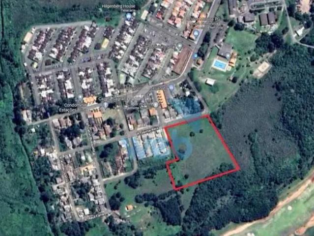 Terreno / Lote para Venda em Ponta Grossa/PR Ronda