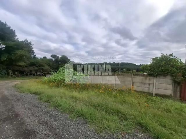 Terreno / Lote para Venda em Ponta Grossa/PR Ronda