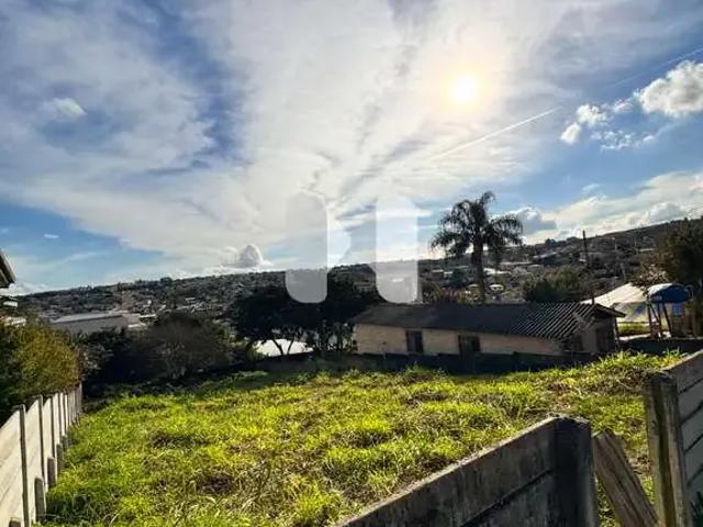 Terreno / Lote para Venda em Ponta Grossa/PR Ronda