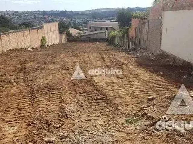Terreno / Lote para Venda em Ponta Grossa/PR Ronda