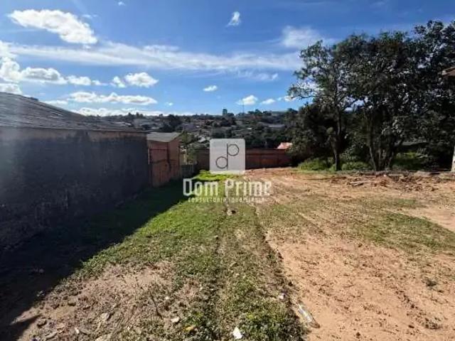 Terreno / Lote para Venda em Ponta Grossa/PR Ronda