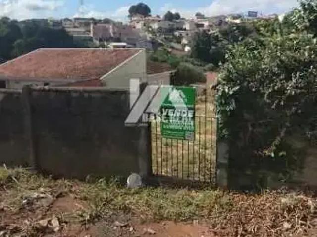 Terreno / Lote para Venda em Ponta Grossa/PR Ronda