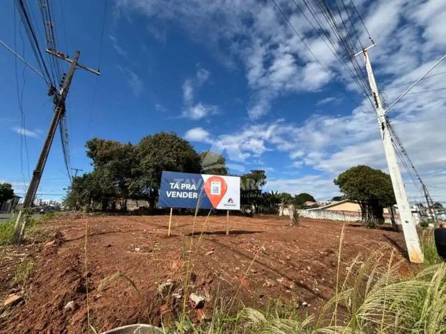Terreno / Lote para Venda em Ponta Grossa/PR Ronda