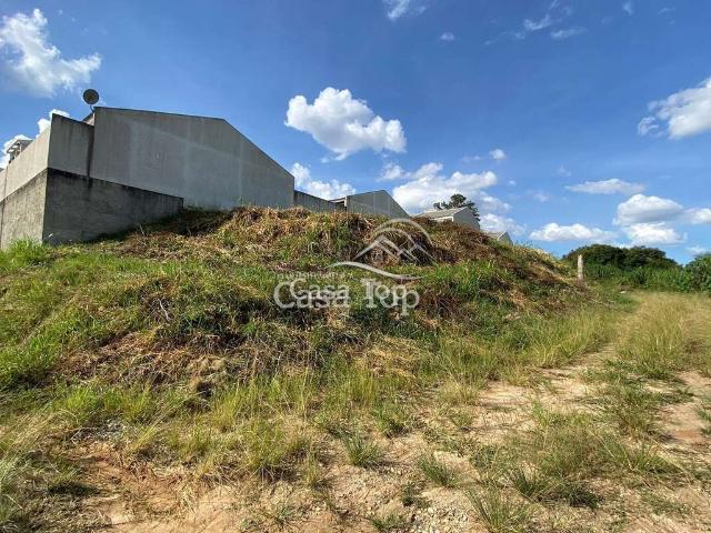 Terreno / Lote para Venda em Ponta Grossa/PR Ronda