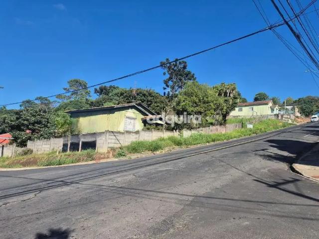 Terreno / Lote para Venda em Ponta Grossa/PR Ronda