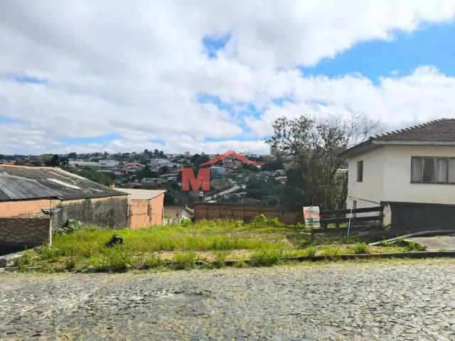 Terreno / Lote para Venda em Ponta Grossa/PR Ronda