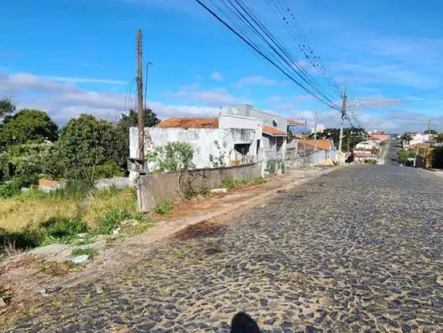Terreno / Lote para Venda em Ponta Grossa/PR Ronda