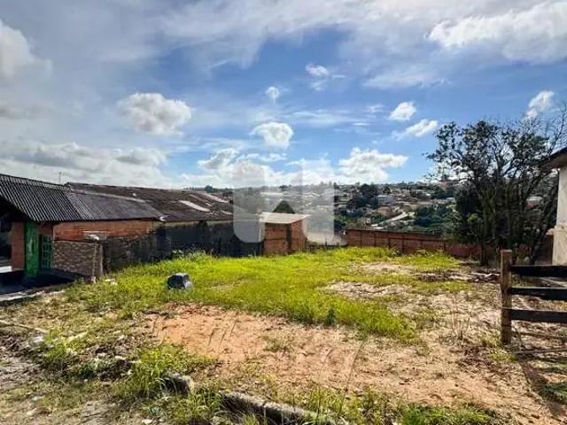 Terreno / Lote para Venda em Ponta Grossa/PR Ronda