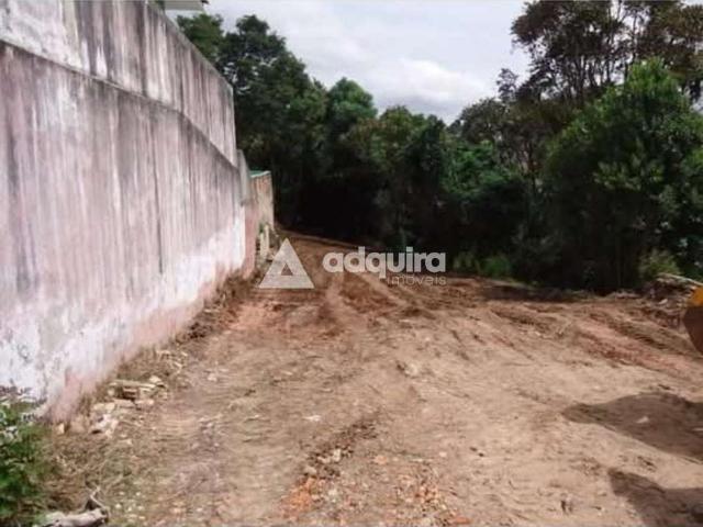 Terreno / Lote para Venda em Ponta Grossa/PR Ronda