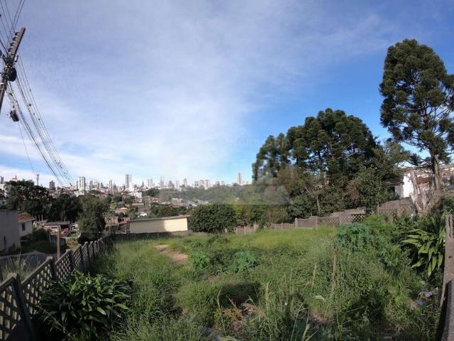 Terreno / Lote para Venda em Ponta Grossa/PR Ronda