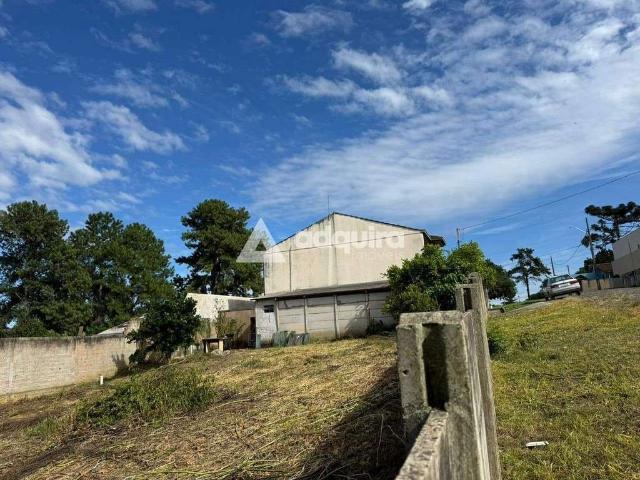 Terreno / Lote para Venda em Ponta Grossa/PR Ronda