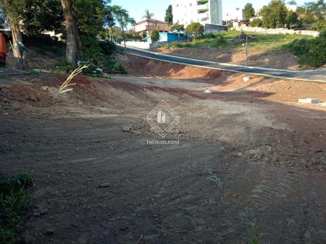 Terreno / Lote para Venda em Ponta Grossa/PR Ronda