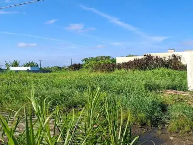 Terreno / Lote para Venda em Pontal do Paraná/PR Atami