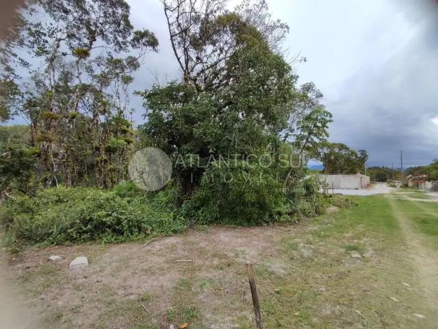 Terreno / Lote para Venda em Pontal do Paraná/PR Guaraguaçu
